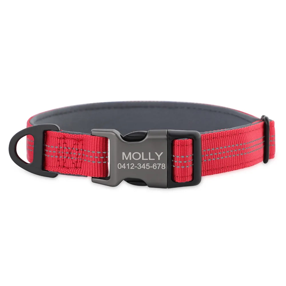 Personalised Dog Collar Padded, Custom Engraved Buckle, Nylon (S–L ...