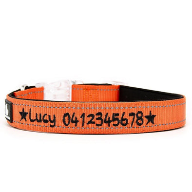 Reflective & Padded - Personalised Dog Collar NEW – Custom Pet Collars
